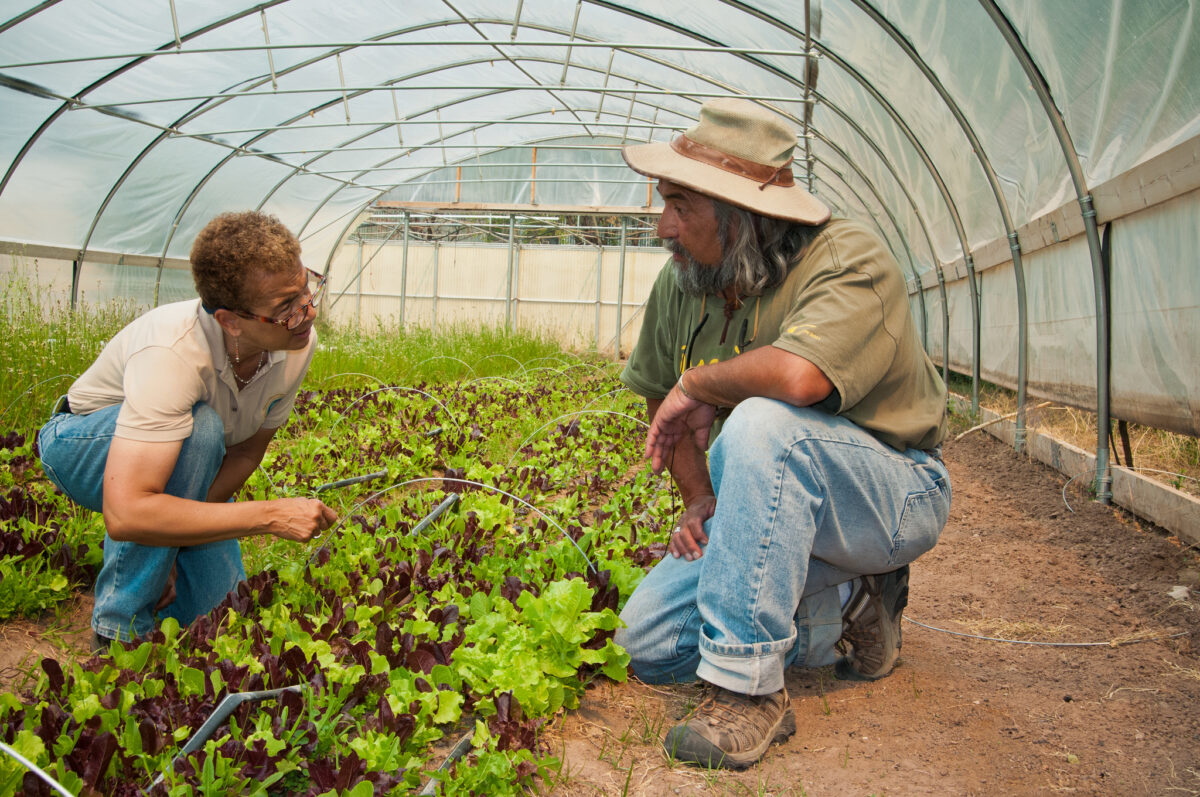 Regenerative Agriculture & Resilient Food Systems: 7 Important Examples ...